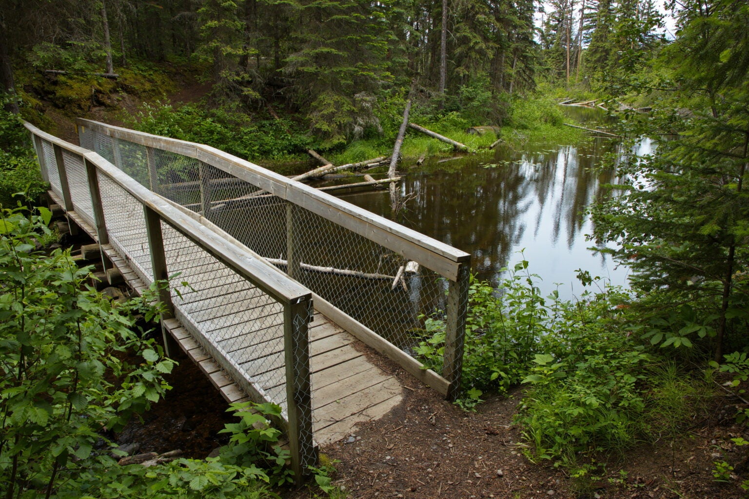 Respectful Workplace Policy - CUPE 1699